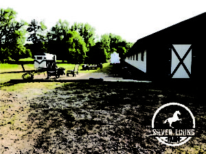 Gallery – Silver Lining Farm