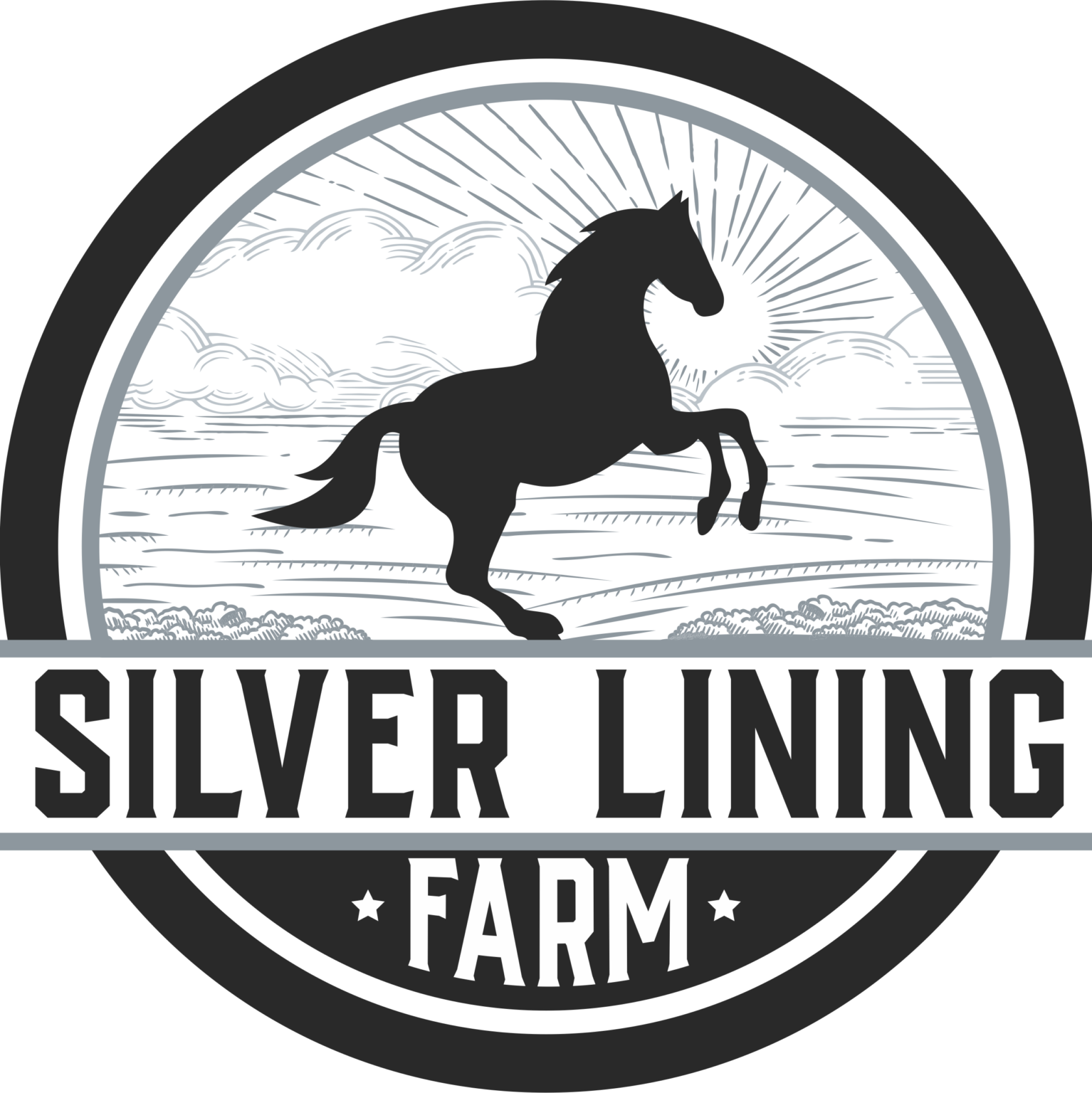 Silver Lining Farm – Equestrian Center