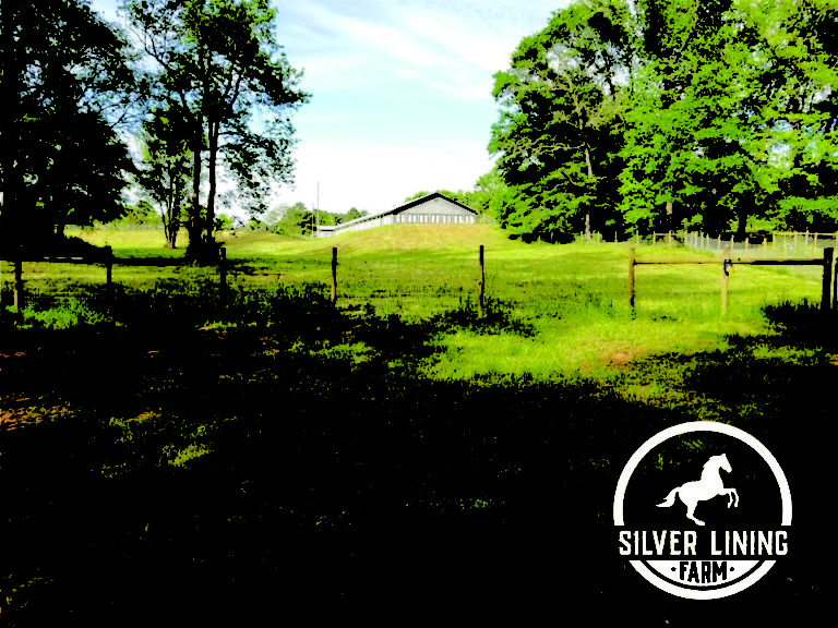 Boarding – Silver Lining Farm