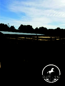 Gallery – Silver Lining Farm