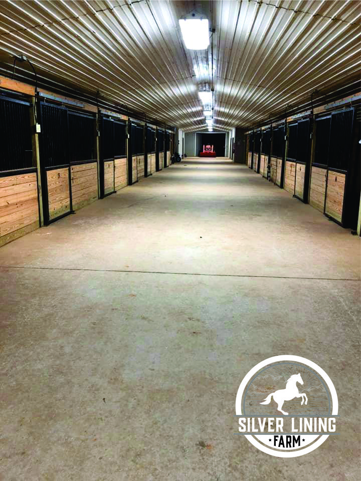 Gallery – Silver Lining Farm