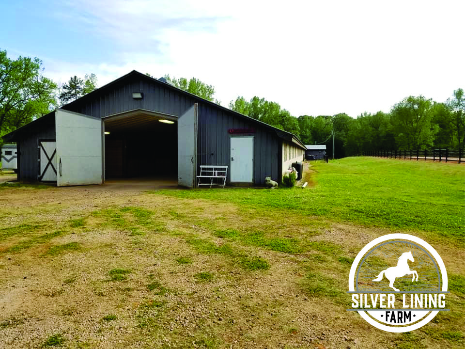 Gallery – Silver Lining Farm