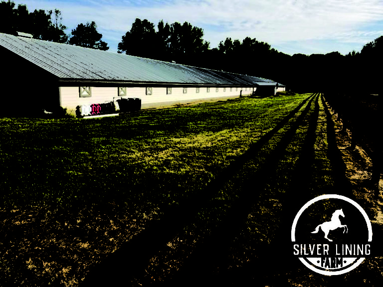 Gallery – Silver Lining Farm